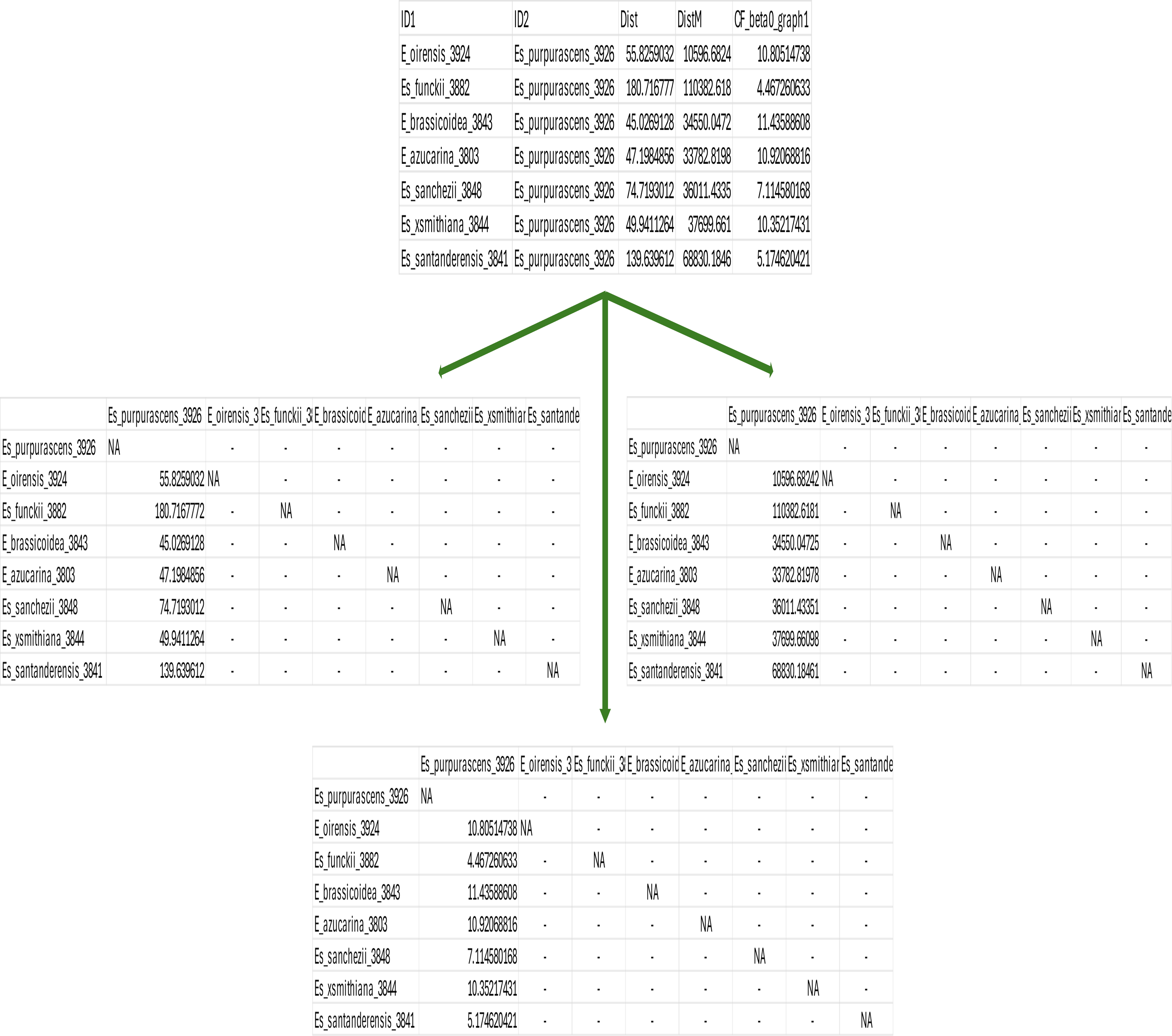 Converting a Relationship List to Distance Matrices