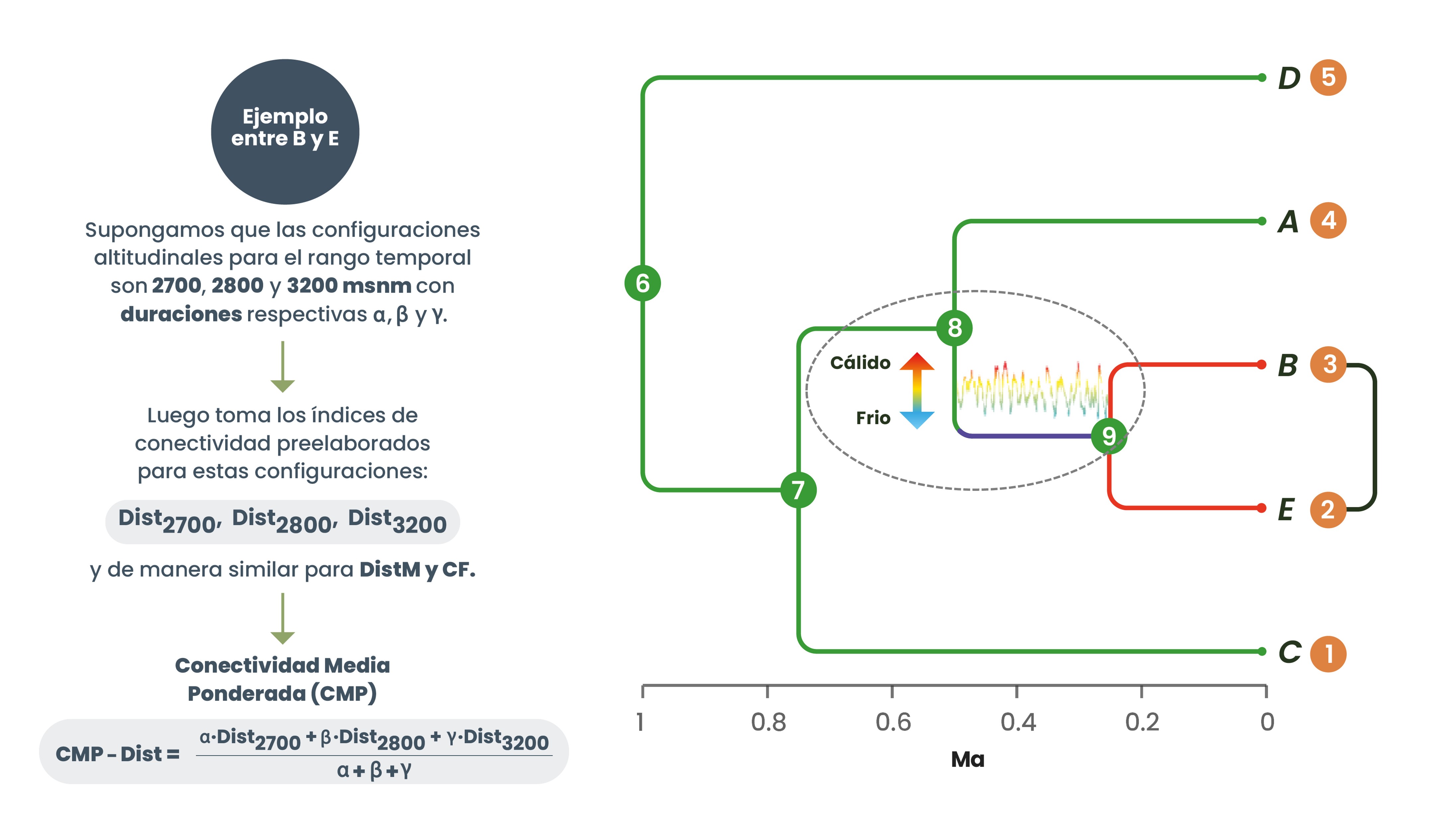 Algoritmo de R para el Análisis de Conectividad Histórica de Linajes de ...